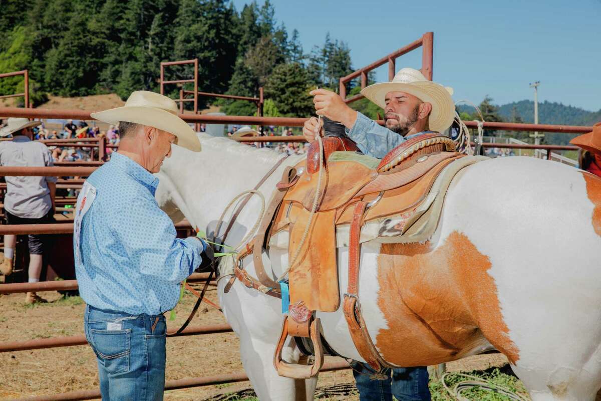 North Bay gay rodeo rounds up lively mix of traditional events