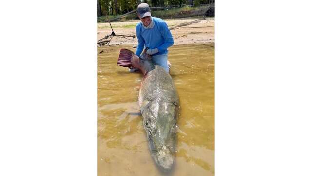 Art Weston catches record-breaking alligator gar in Texas