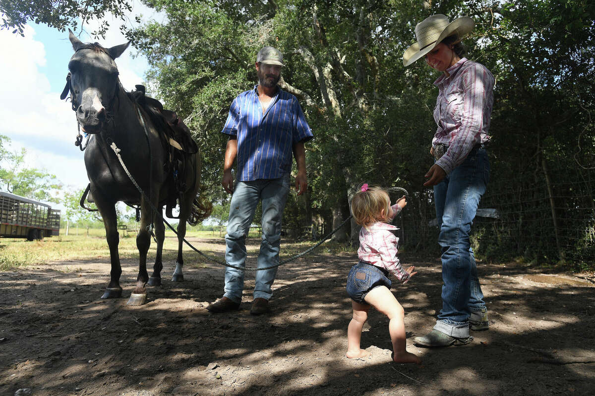 Hamshire female rancher vies for the herd on Ultimate Cowboy Showdown