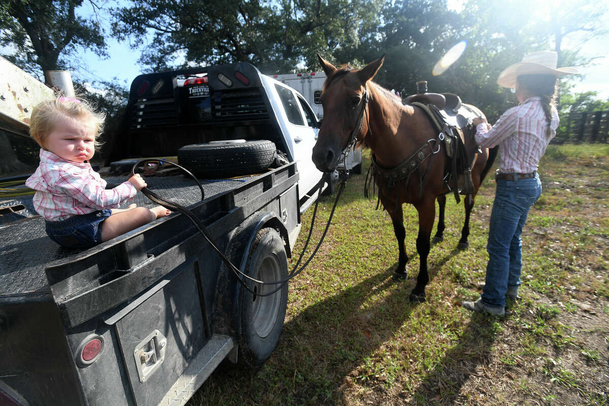 Hamshire female rancher vies for the herd on Ultimate Cowboy Showdown