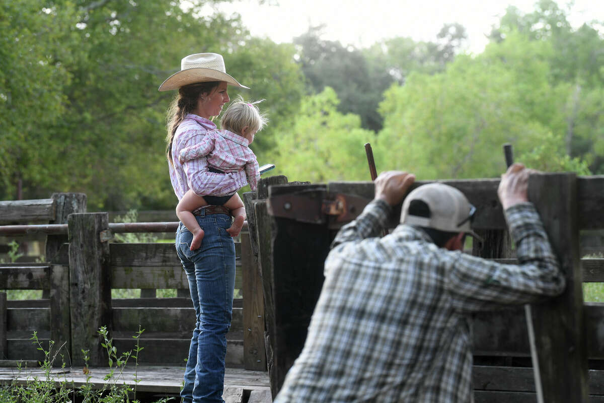 Hamshire female rancher vies for the herd on Ultimate Cowboy Showdown