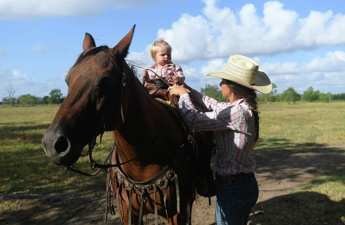Hamshire female rancher vies for the herd on Ultimate Cowboy Showdown
