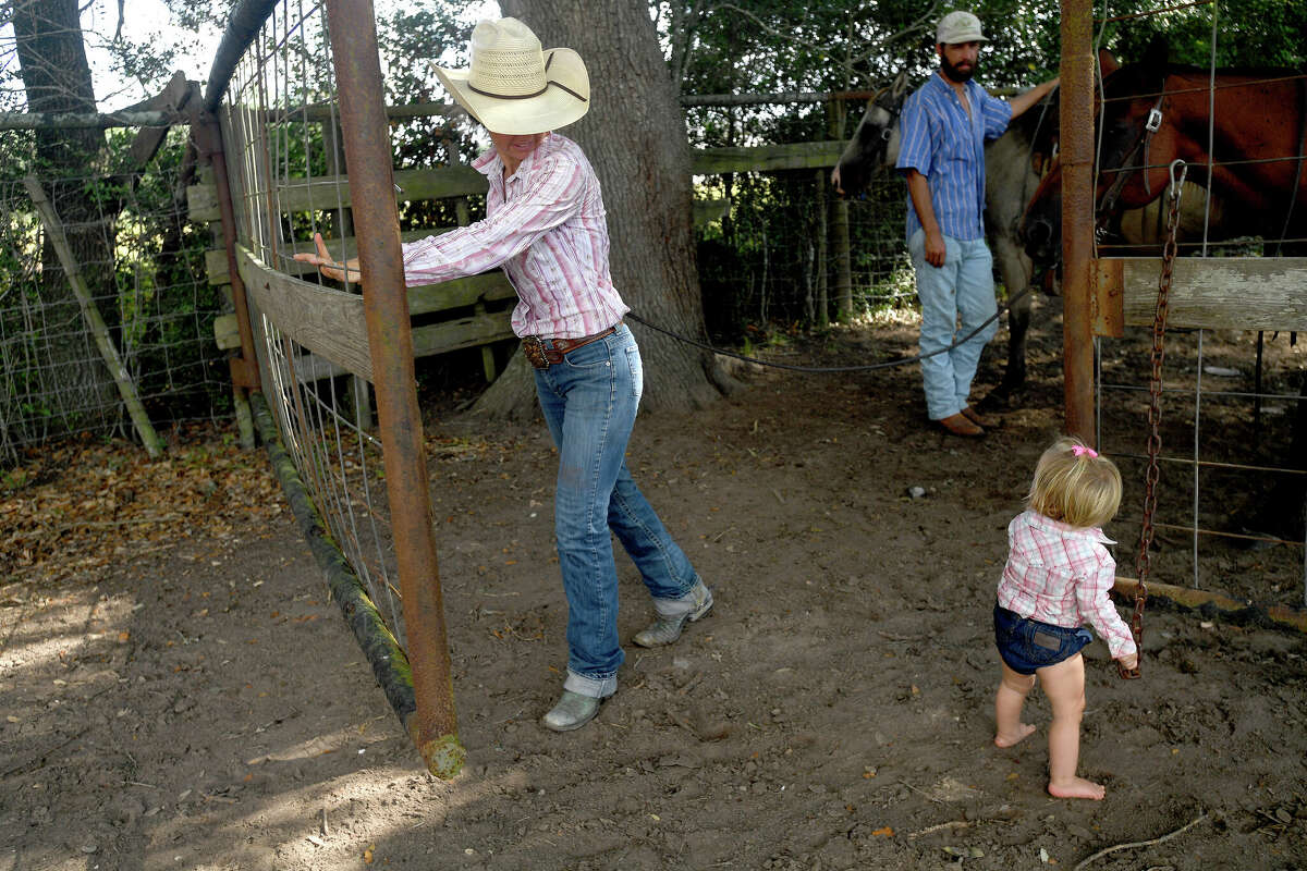 Hamshire female rancher vies for the herd on Ultimate Cowboy Showdown