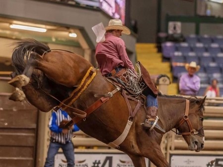 Bronc rider at West Texas rodeo dies after getting bucked off horse