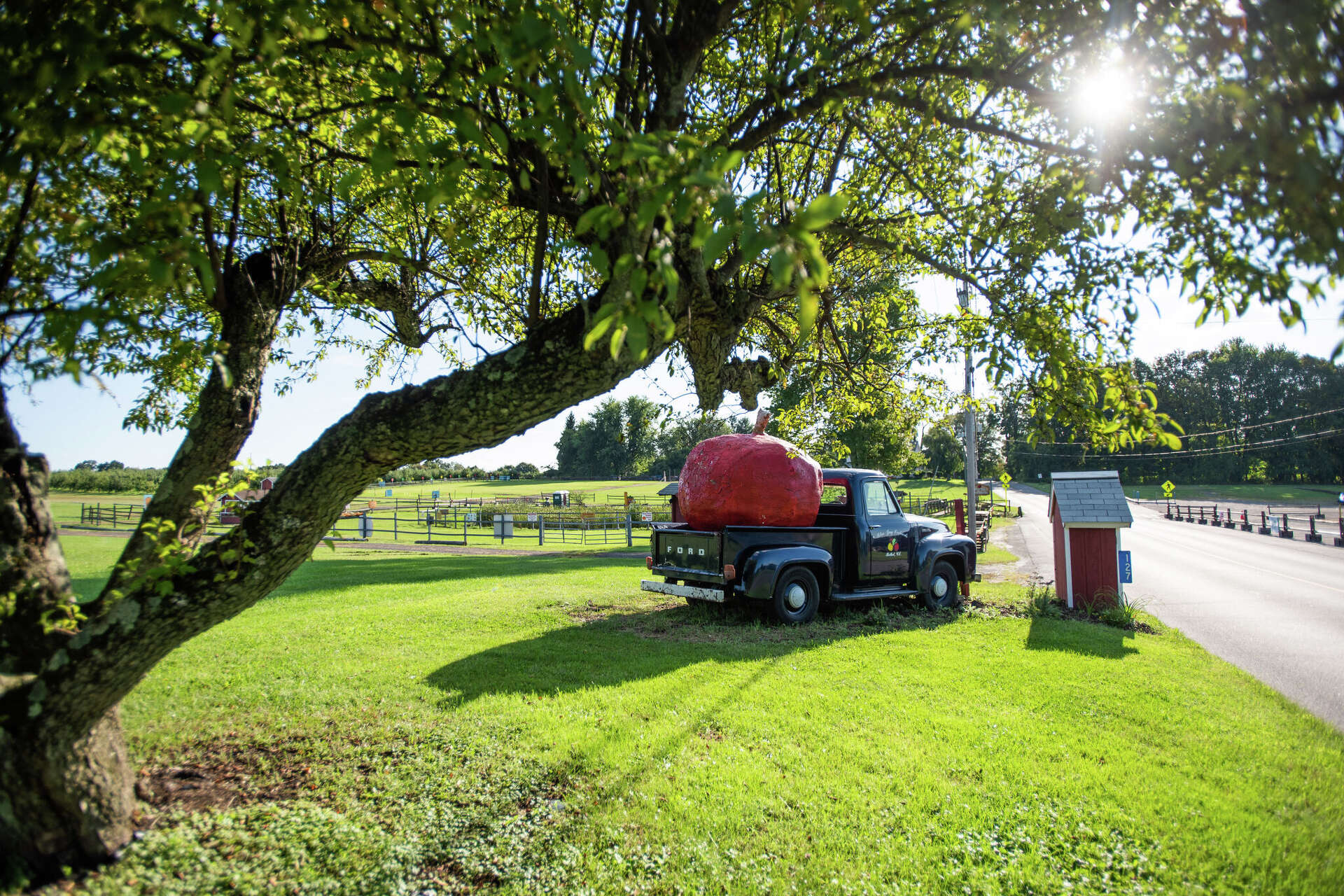 Two CT orchards on Yelp's list of '25 apple picking spots to bookmark'