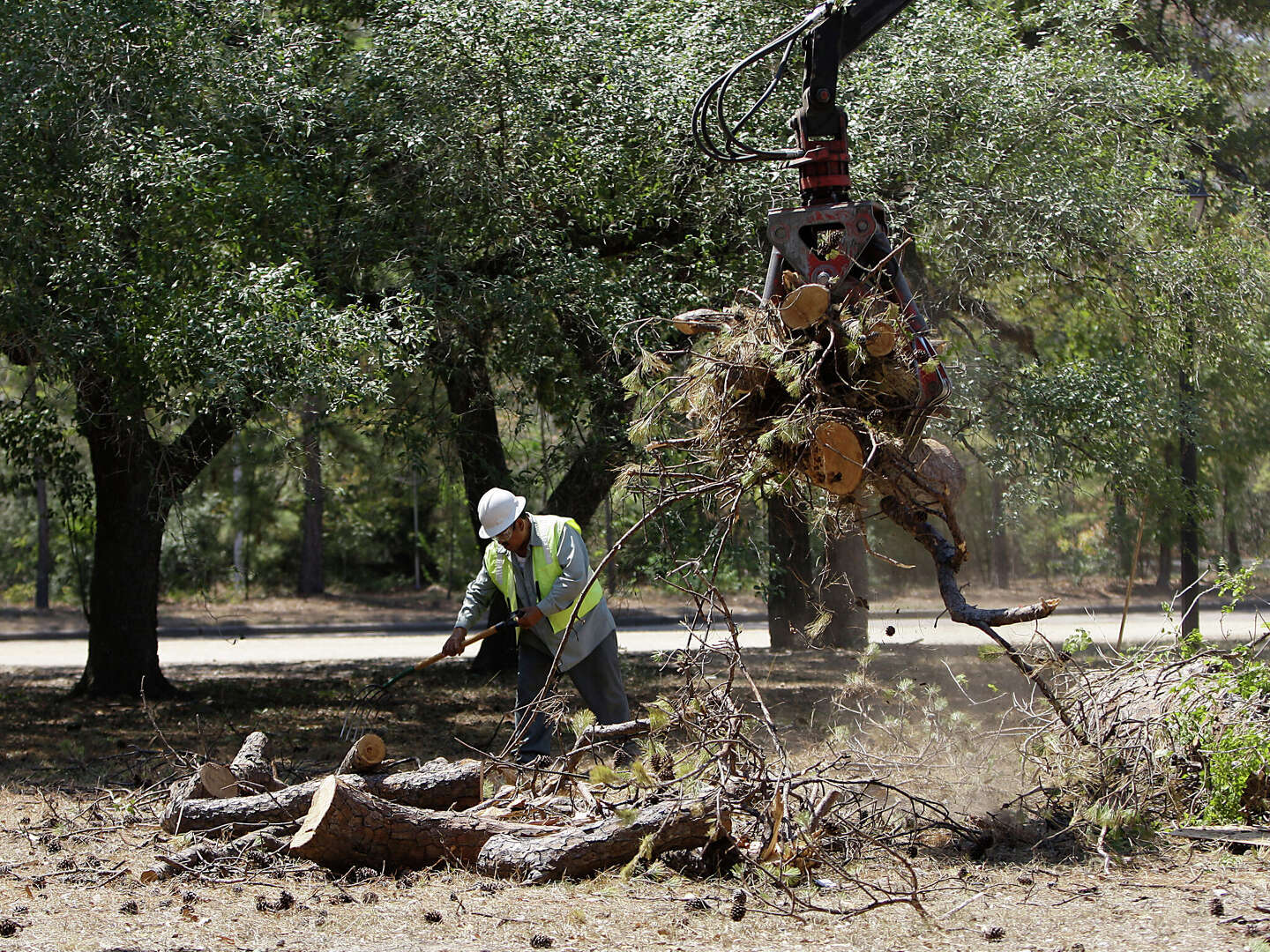 Will Houston's heat, drought kill trees at Memorial Park?