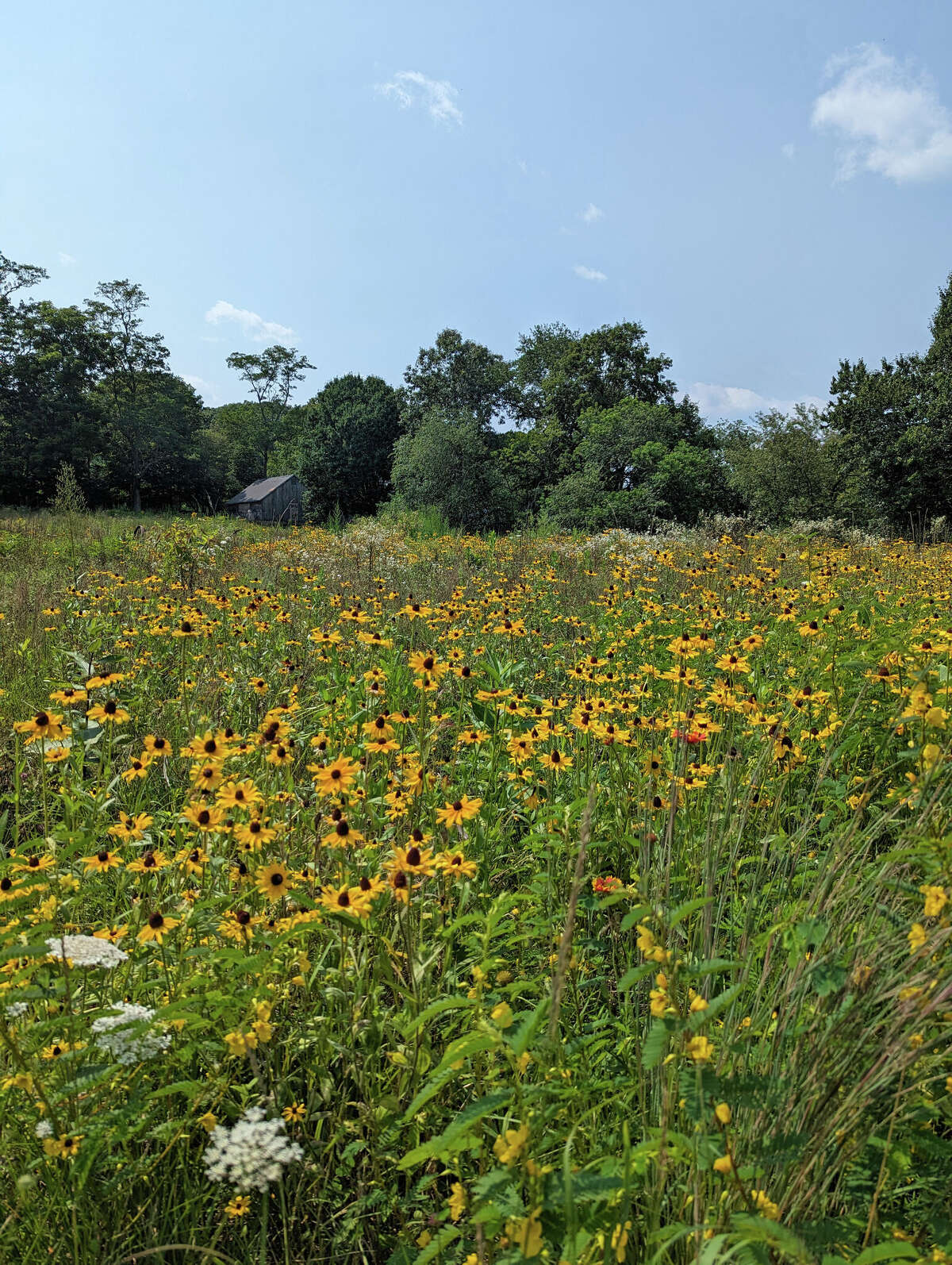 What to do in Madison, Connecticut