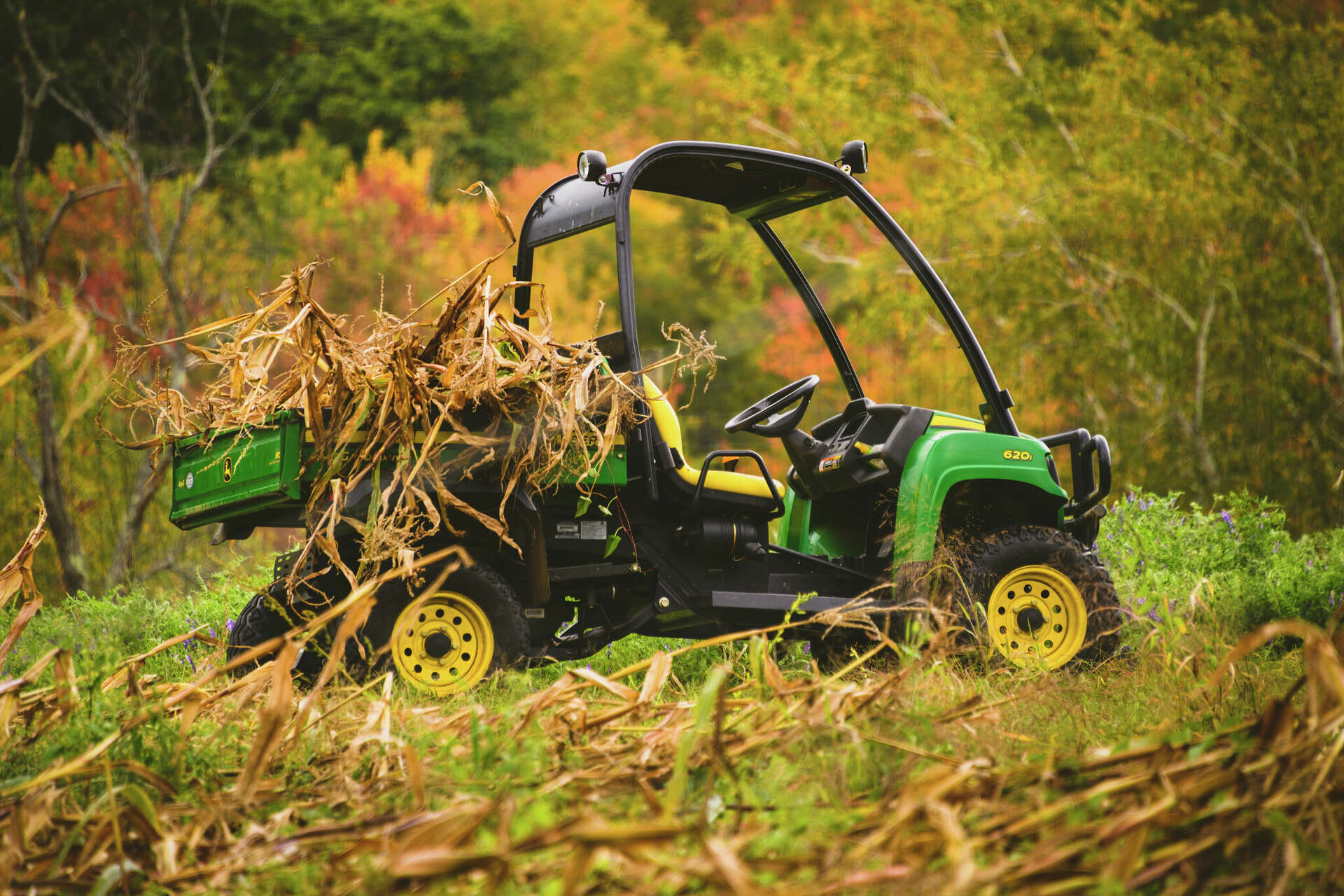 CT's Husky Meadows Farm offers farm-to-table experiences this fall