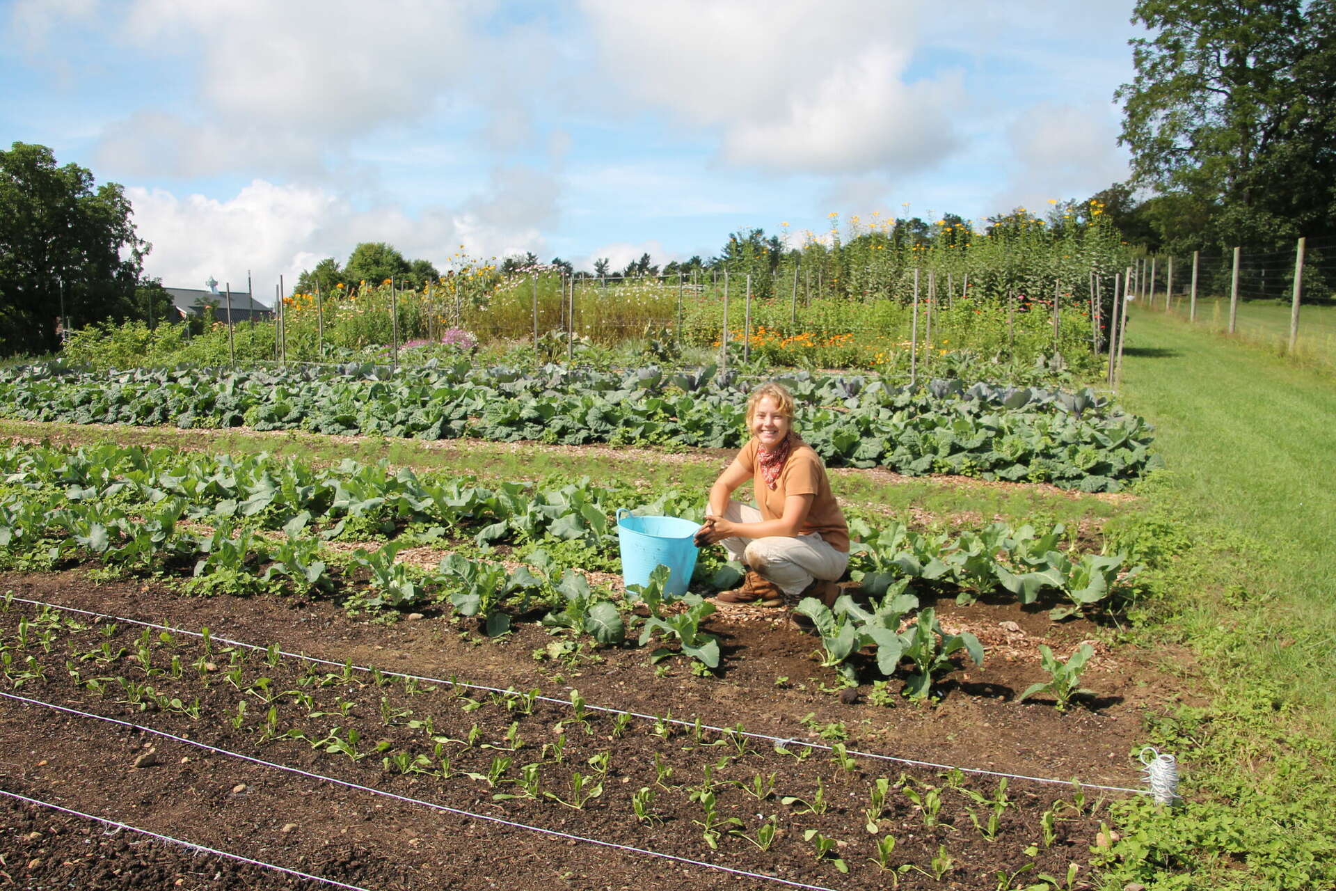 CT's Husky Meadows Farm offers farm-to-table experiences this fall