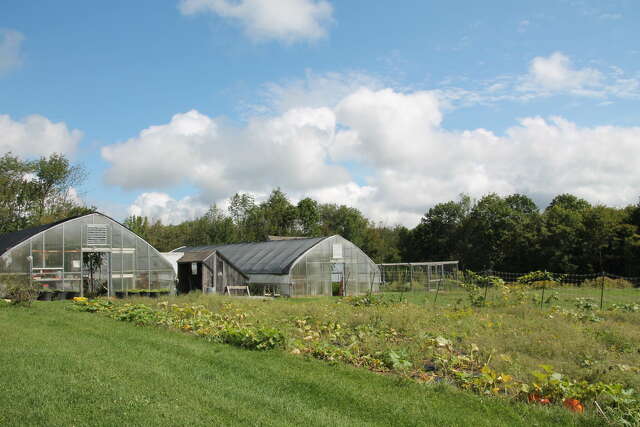 CT's Husky Meadows Farm offers farm-to-table experiences this fall