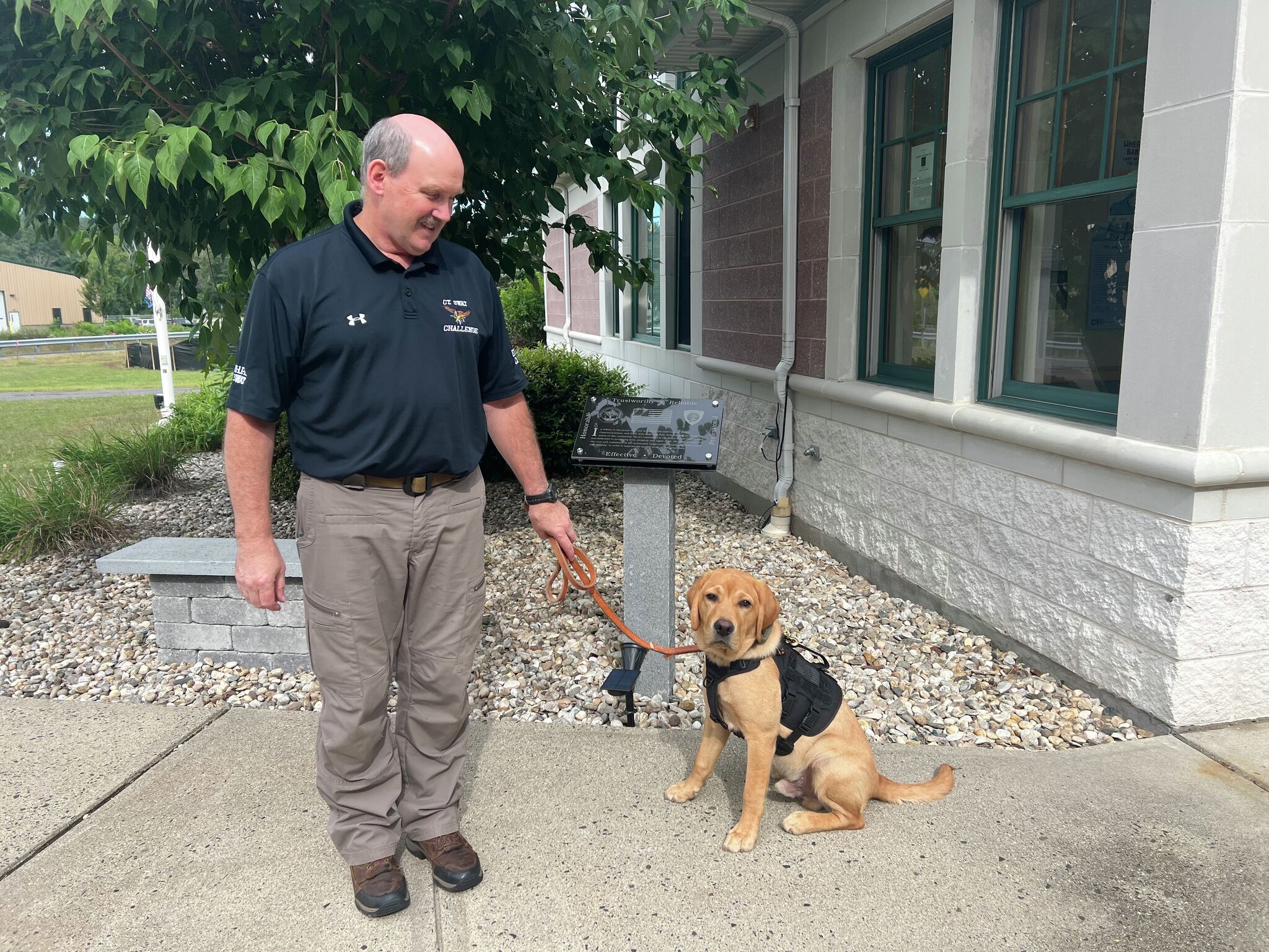 CT police force welcomes 'feel-good dog' for the community