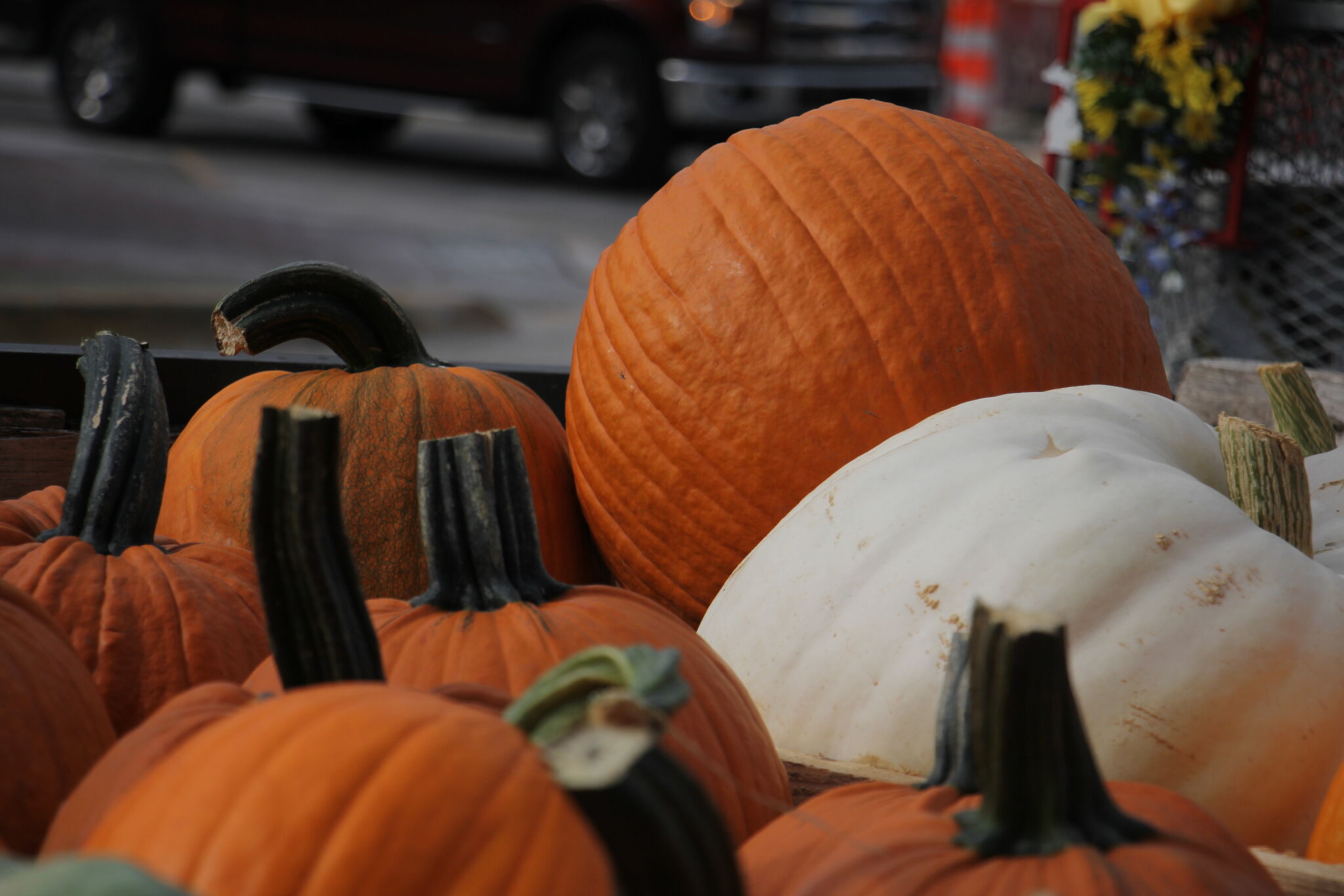 Caseville Pumpkin Fest brings parade, family fun and fall events