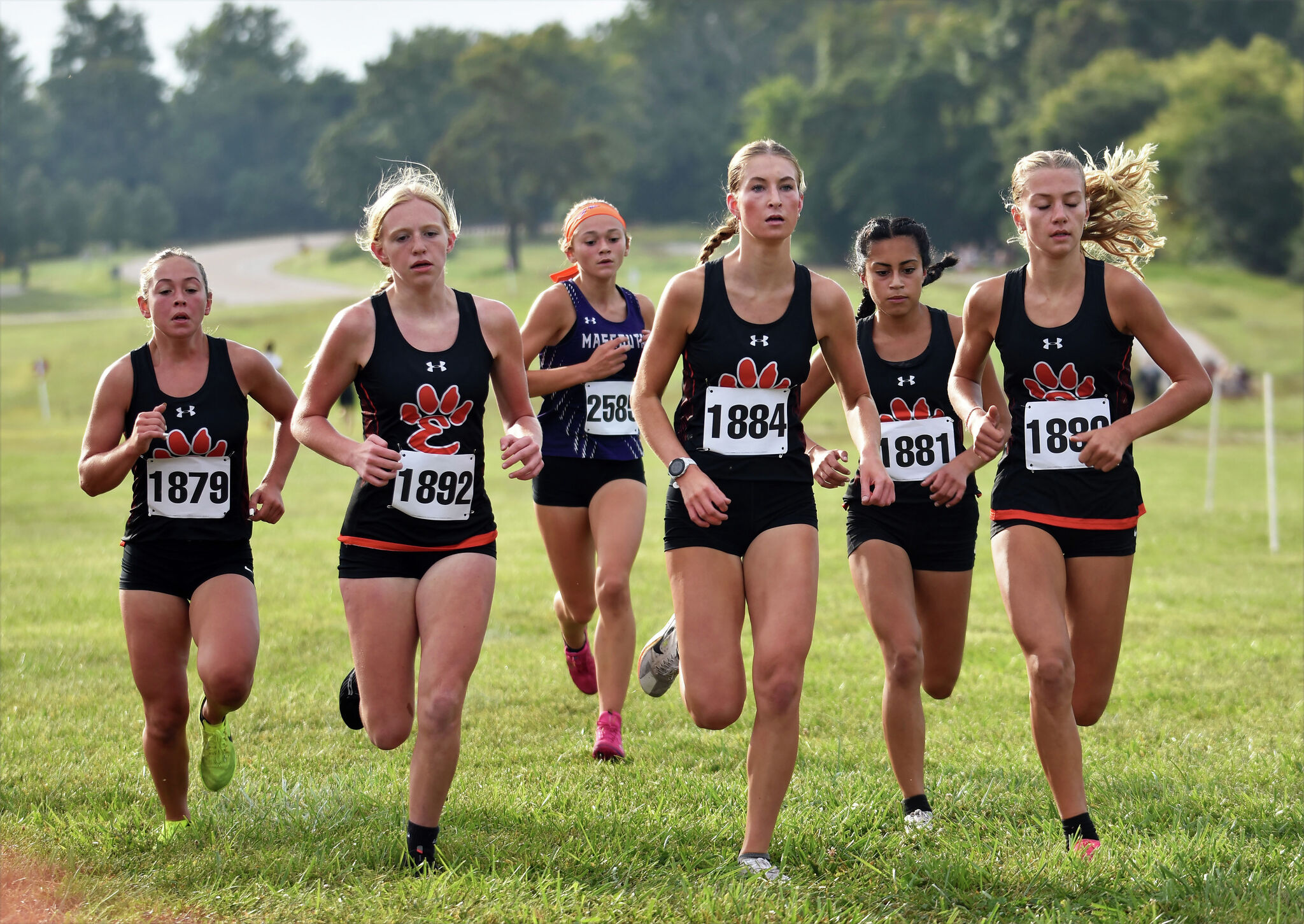 Area cross country runners ready for postseason