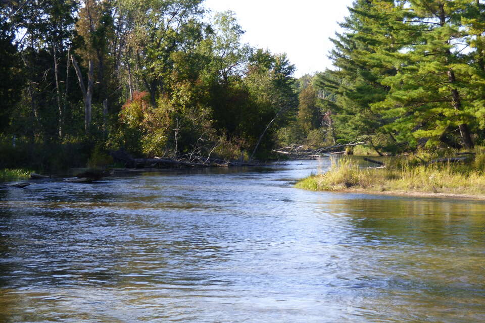 27,000 salmon expected to pass through Little Manistee River Weir