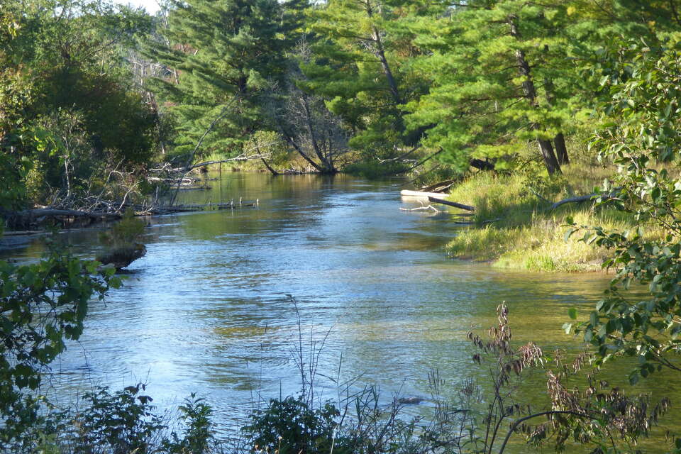 27,000 salmon expected to pass through Little Manistee River Weir
