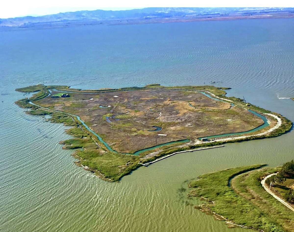‘Idyllic’ private island on edge of San Francisco Bay on sale for $75m