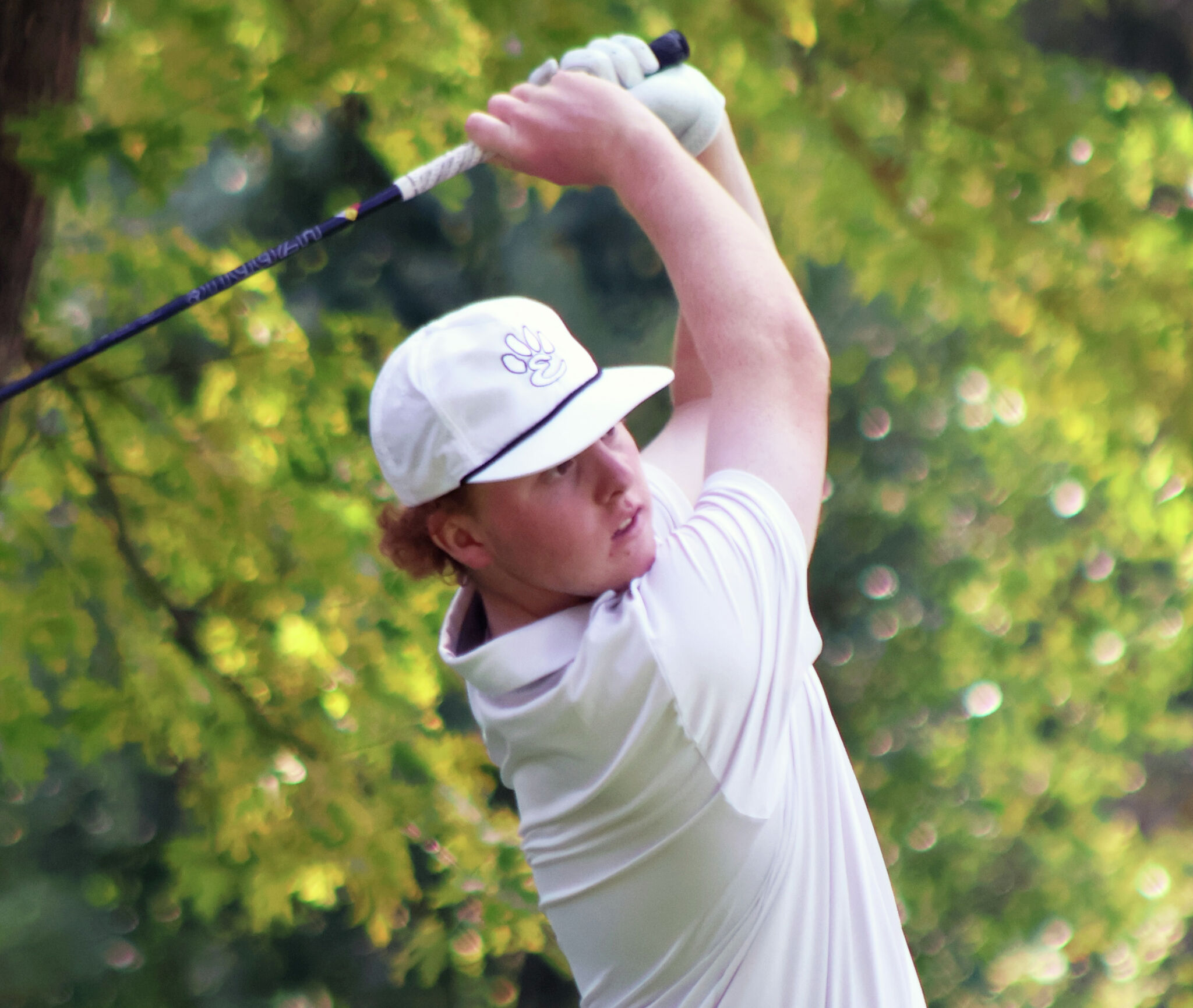 Area boys teams set for regional golf