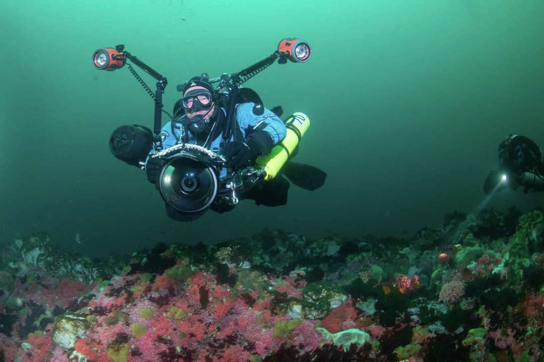 California coral reef, too deep for most divers, seen in new video