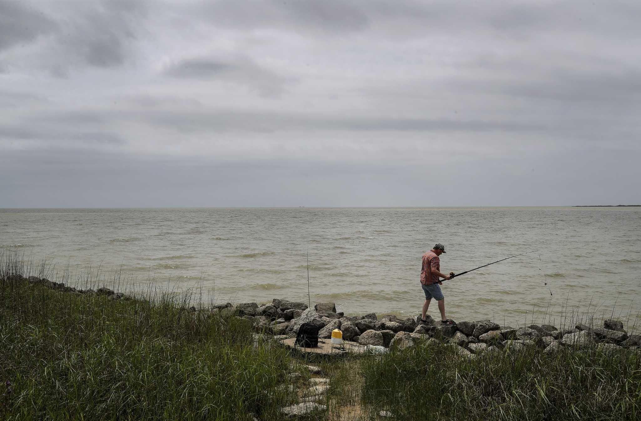 'Alien'-like Turtle leech turns up on Texas beach