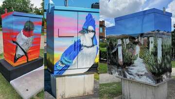 Traffic boxes part of League City's new public-art campaign