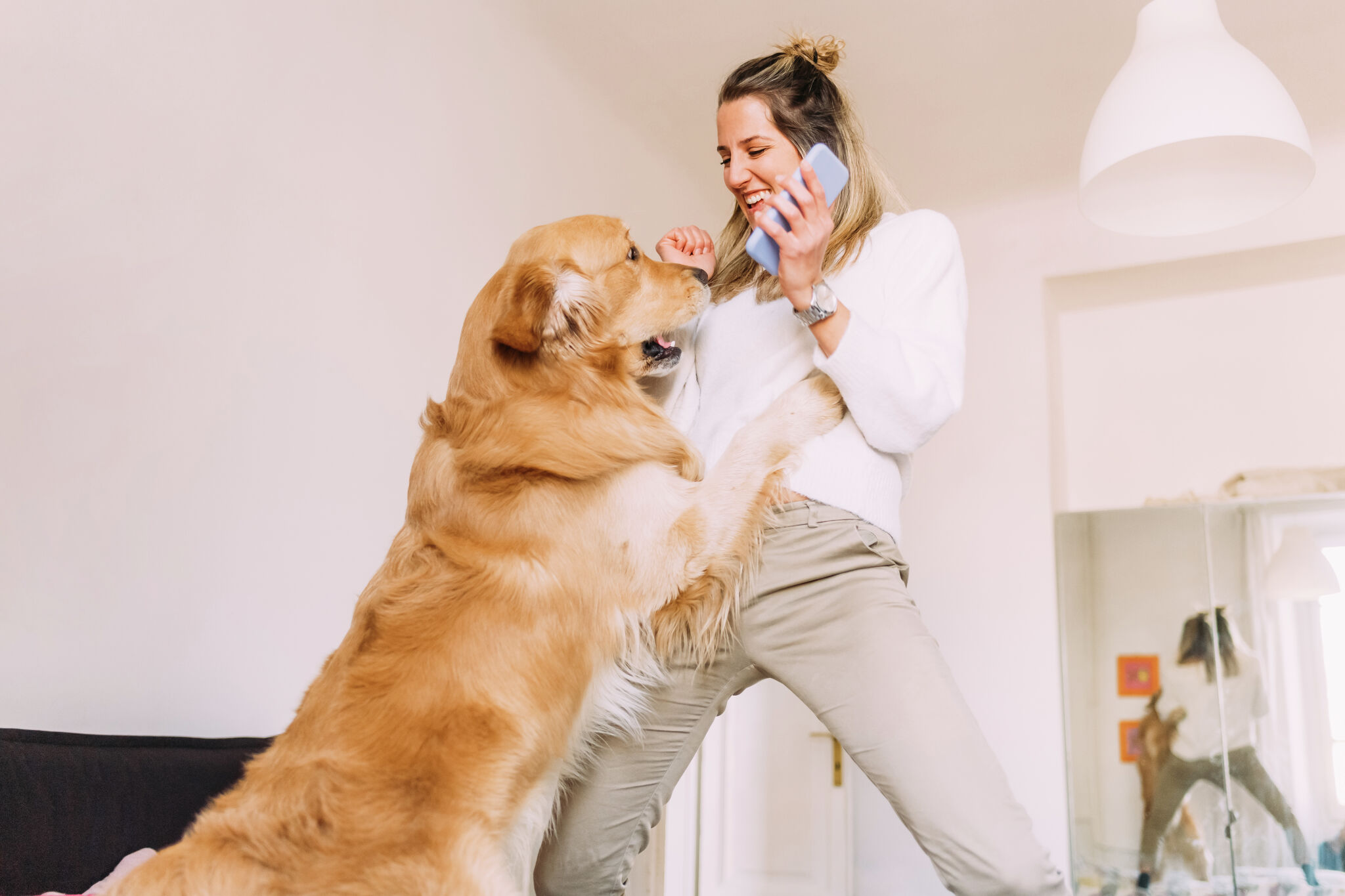 How to help an excited dog learn good front door manners