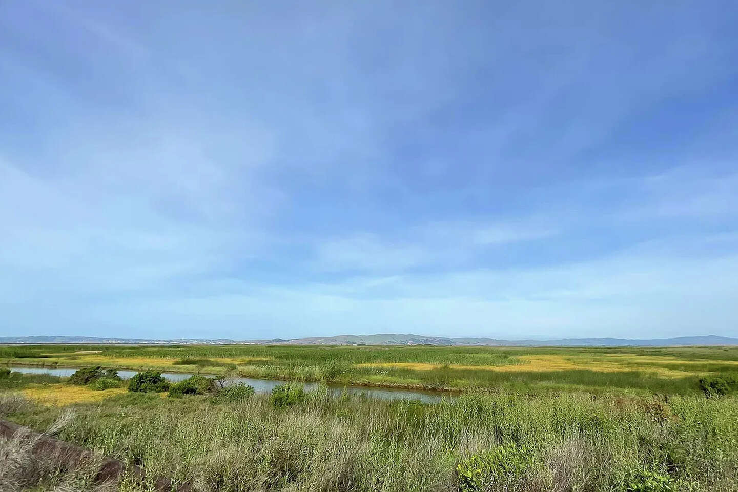 Entire private island in the San Francisco Bay lists for $75 million