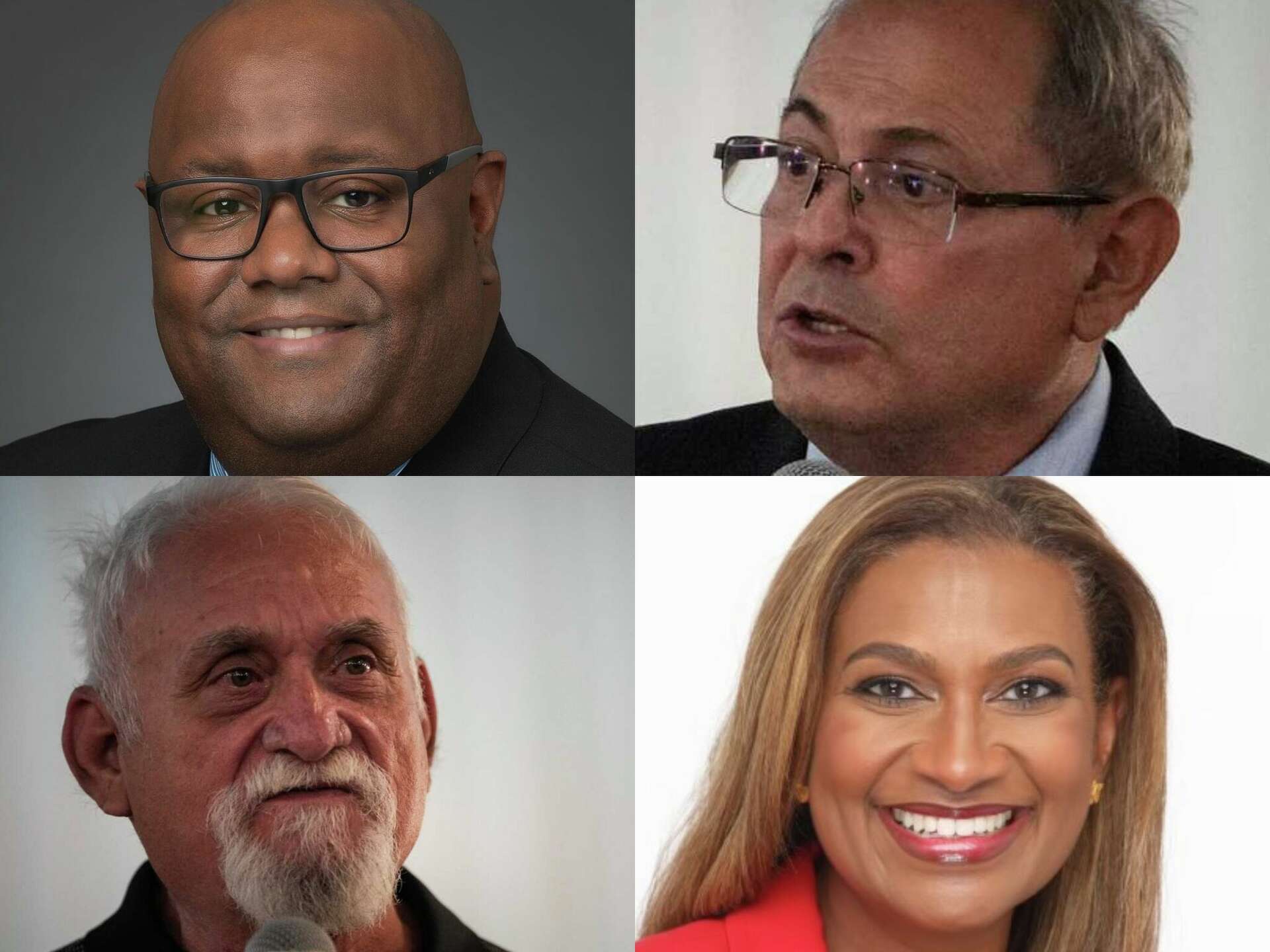 What to know about Houston's City Council At-Large 4 race