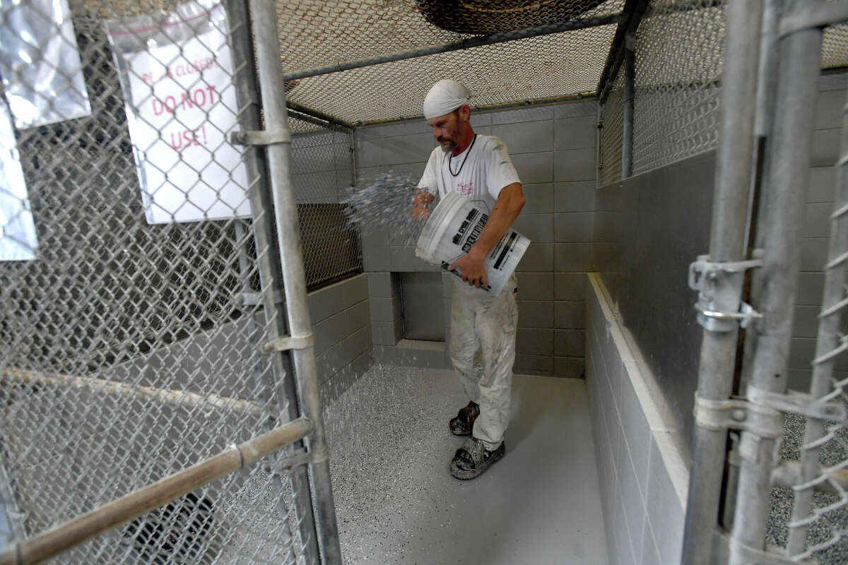 Beaumont shelter making healthy changes that look good, too