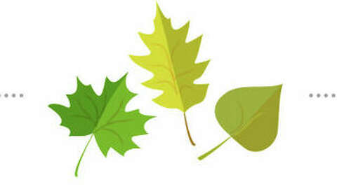 Leaf-peeping trip in CT: When and where to catch fall foliage