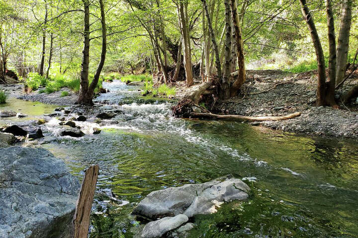 Hike to the Bay Area's Little Yosemite for waterfalls, wild boar