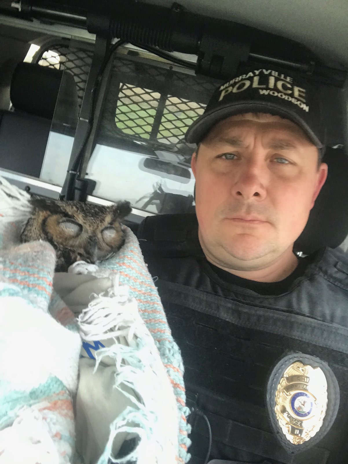 Murrayville-Woodson police chief rescues injured owl