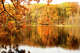 Leaf-peeping trip in CT: Where to catch fall foliage during its peak