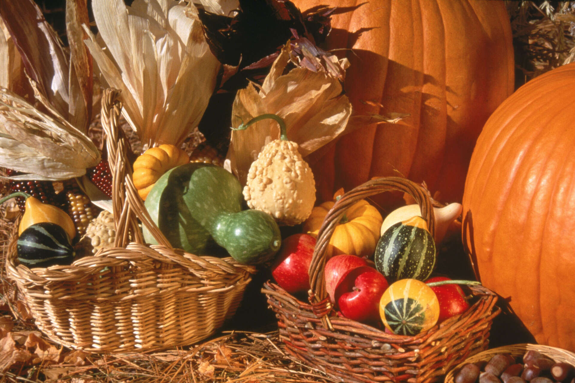Texas Hill Country fall markets, spooky events to visit