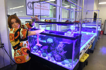 A look inside the Groton high school that was named the best in CT