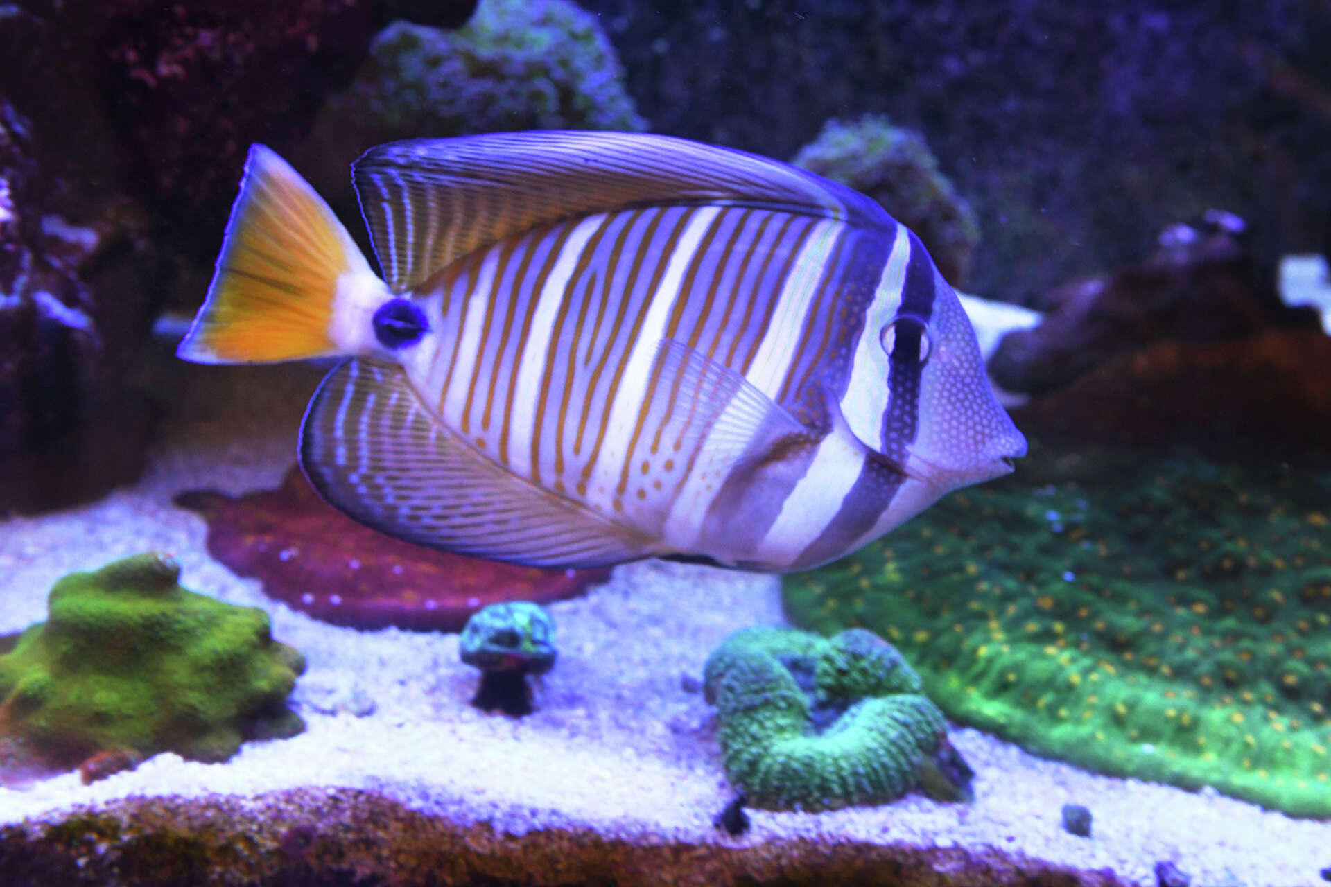 A look inside the Groton high school that was named the best in CT