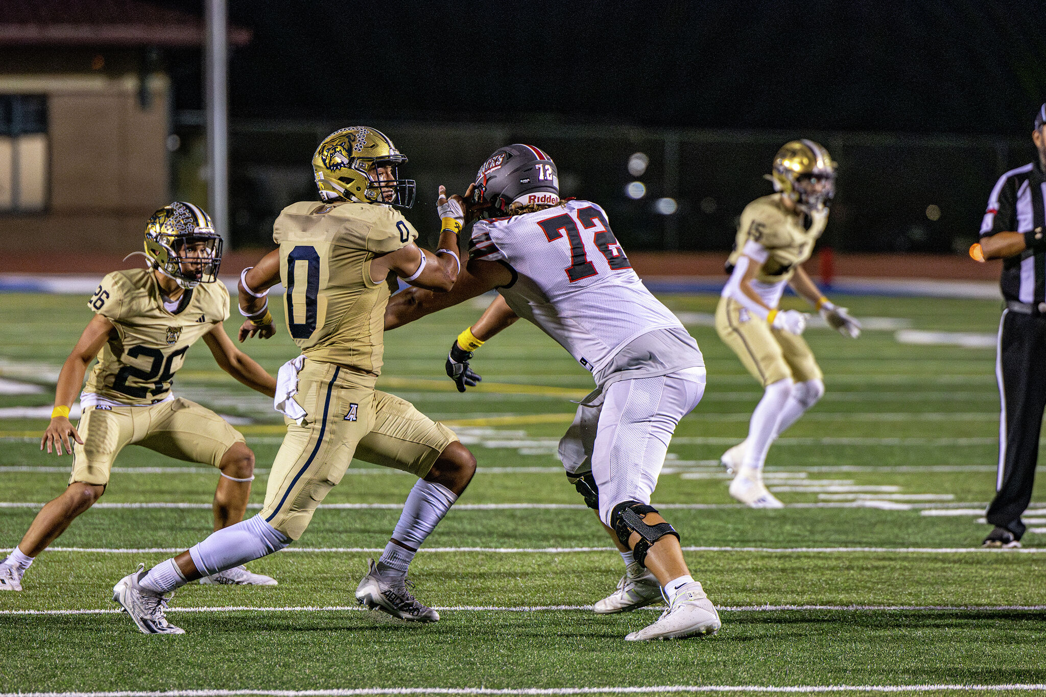 Alexander Bulldogs set to battle United South Panthers