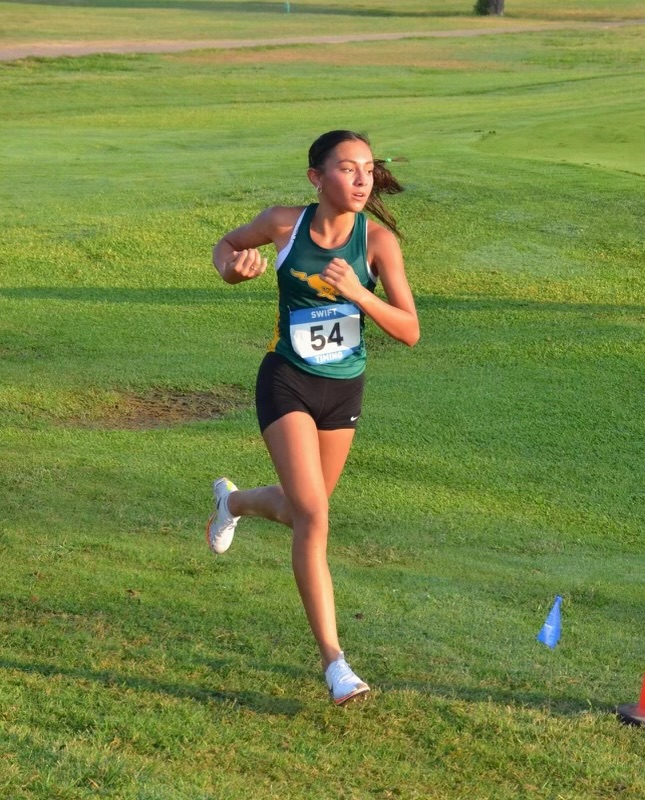 Three Nixon cross country runners look to repeat at districts