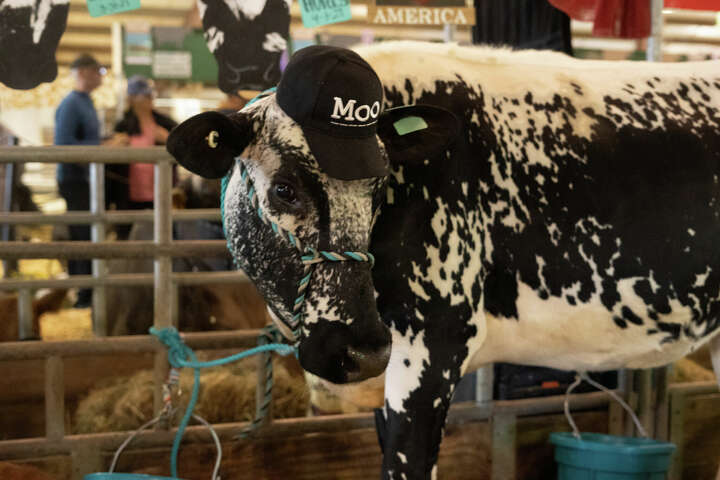 Durham Fair returns to CT on Sept. 26. Here's what to know.