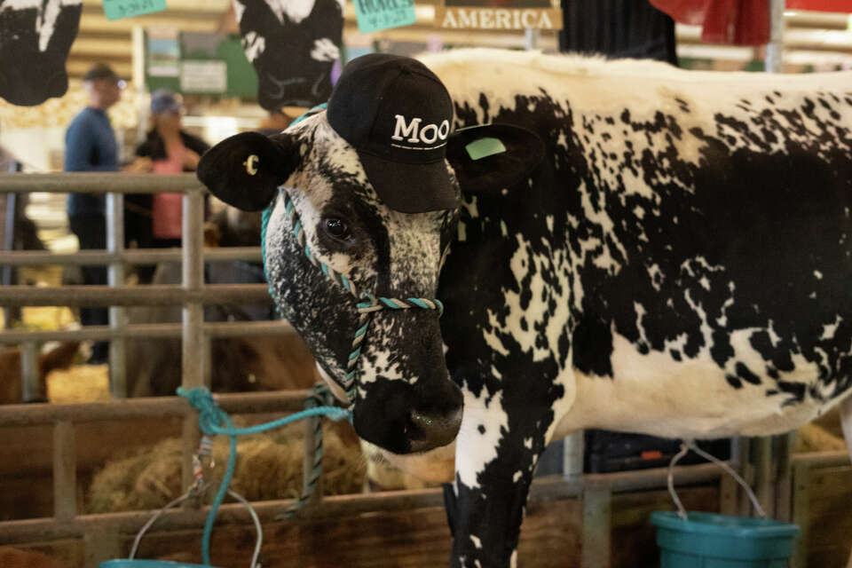 Durham Fair returns to CT on Sept. 26. Here's what to know.