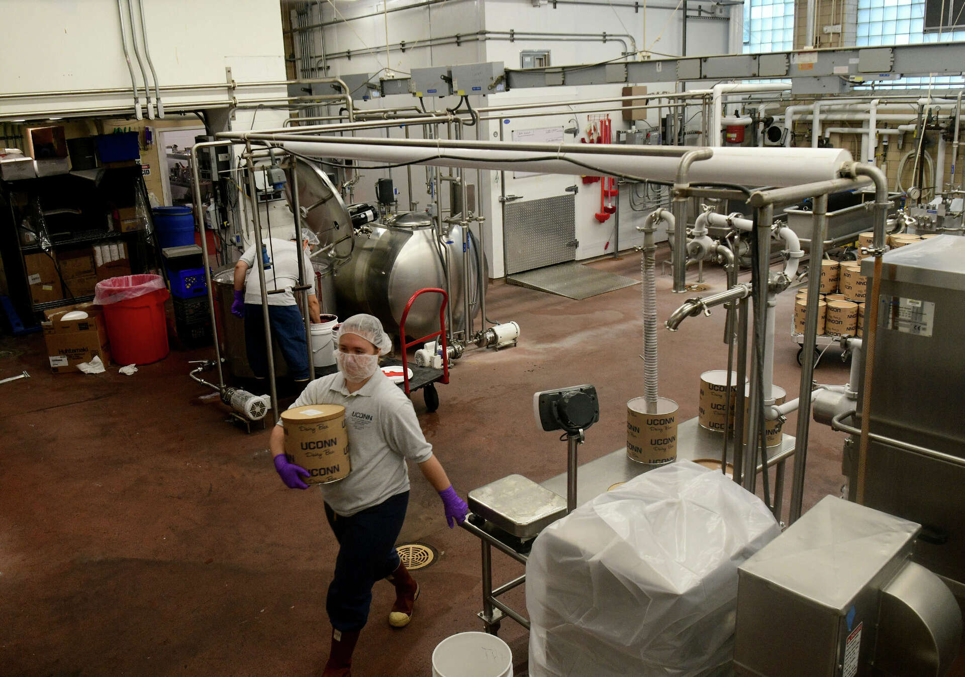 Inside UConn's creamery where students churn ice cream and education