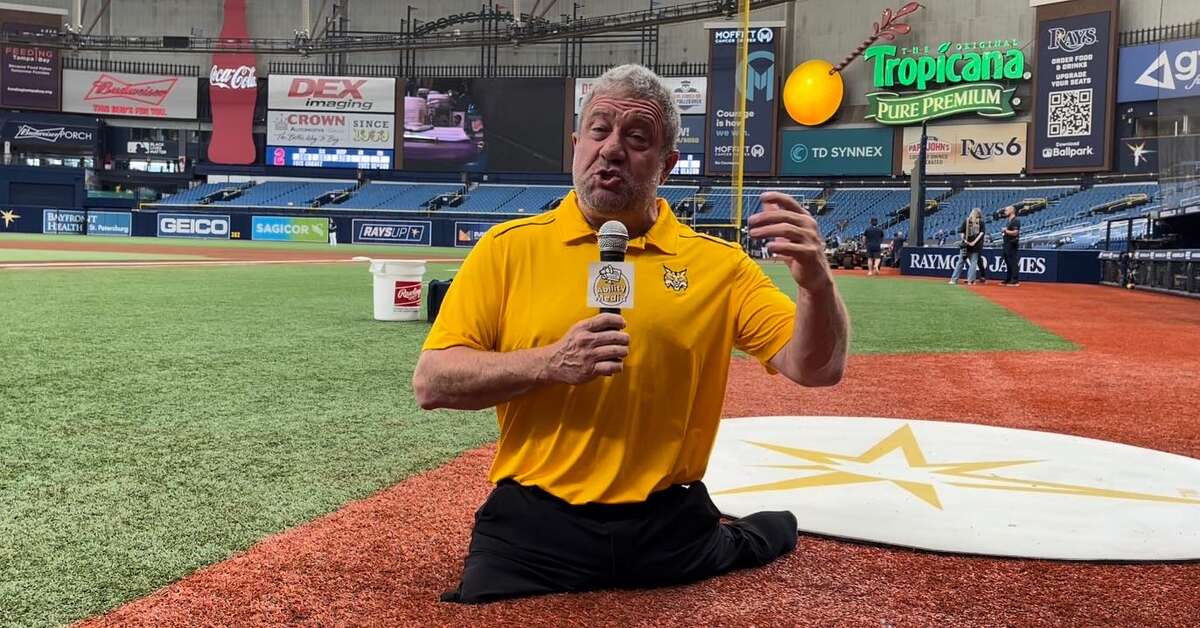 Dave Stevens Baseball