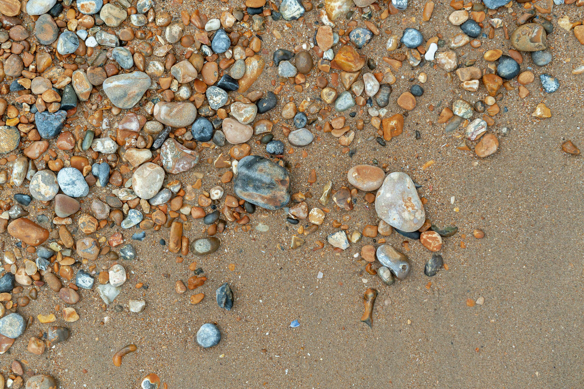 How Rockhounding Helped Me Find Beauty in the Small Things