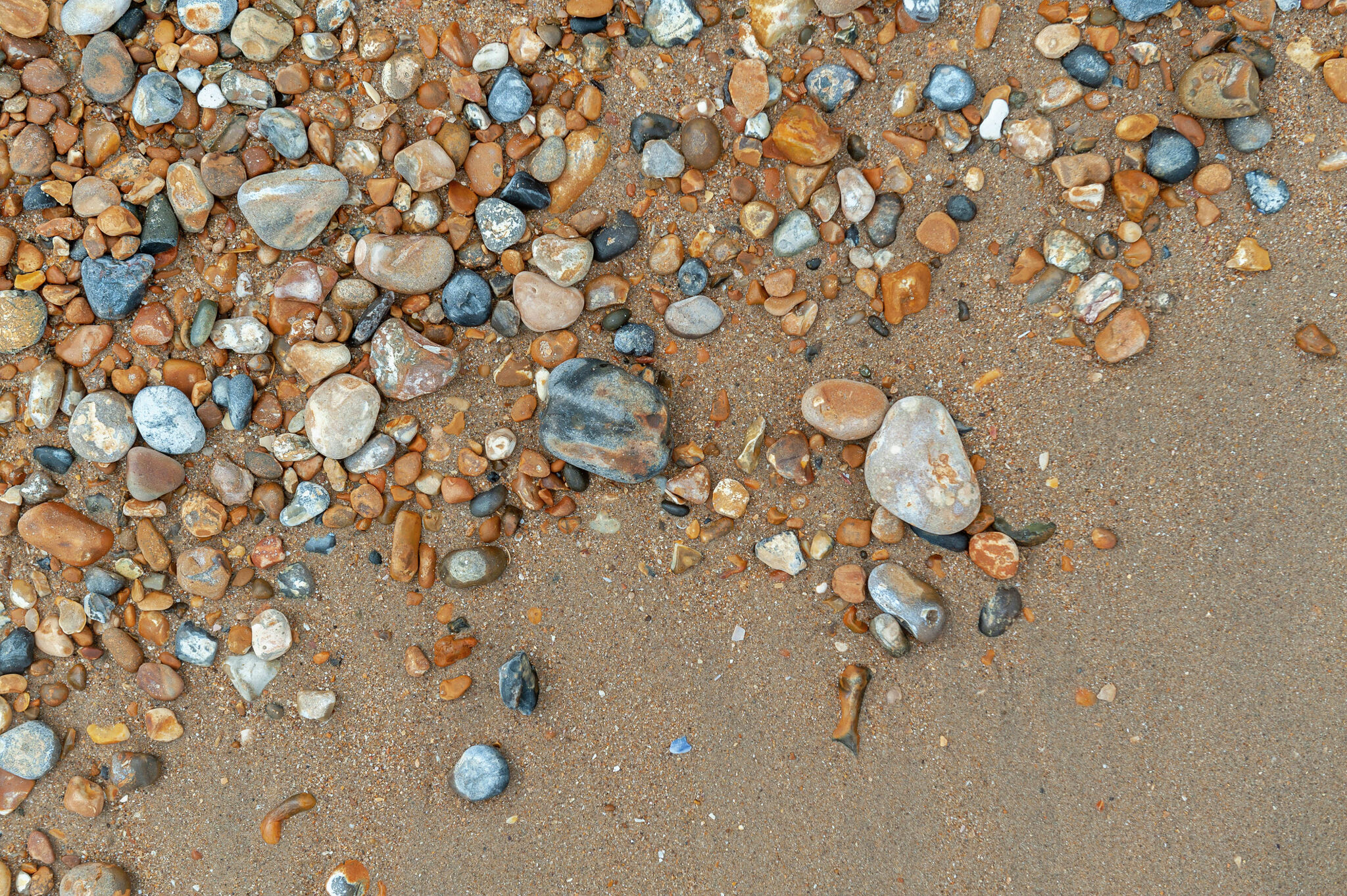 How Rockhounding Helped Me Find Beauty in the Small Things