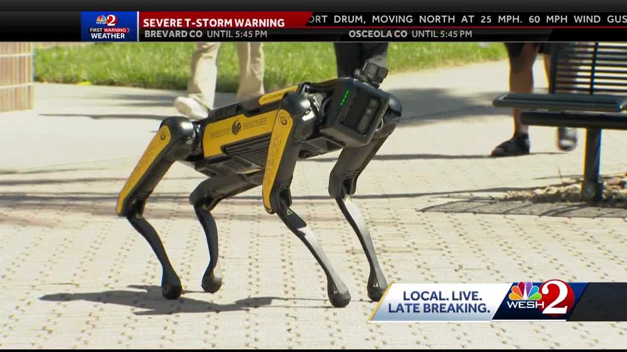 Meet Tape Measure, the robotic dog working on research projects with ...