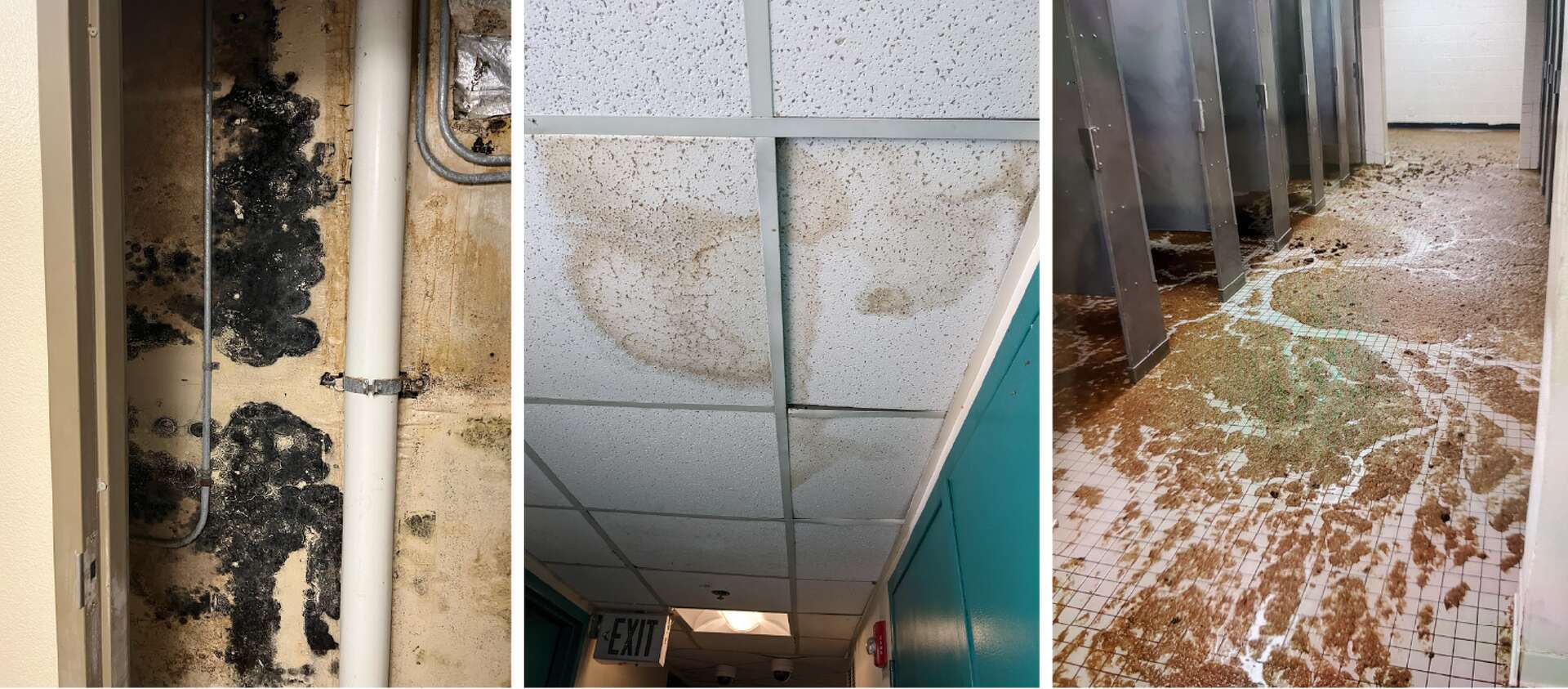 Soldiers battling mold, bed bugs and gas leaks on bases, report says