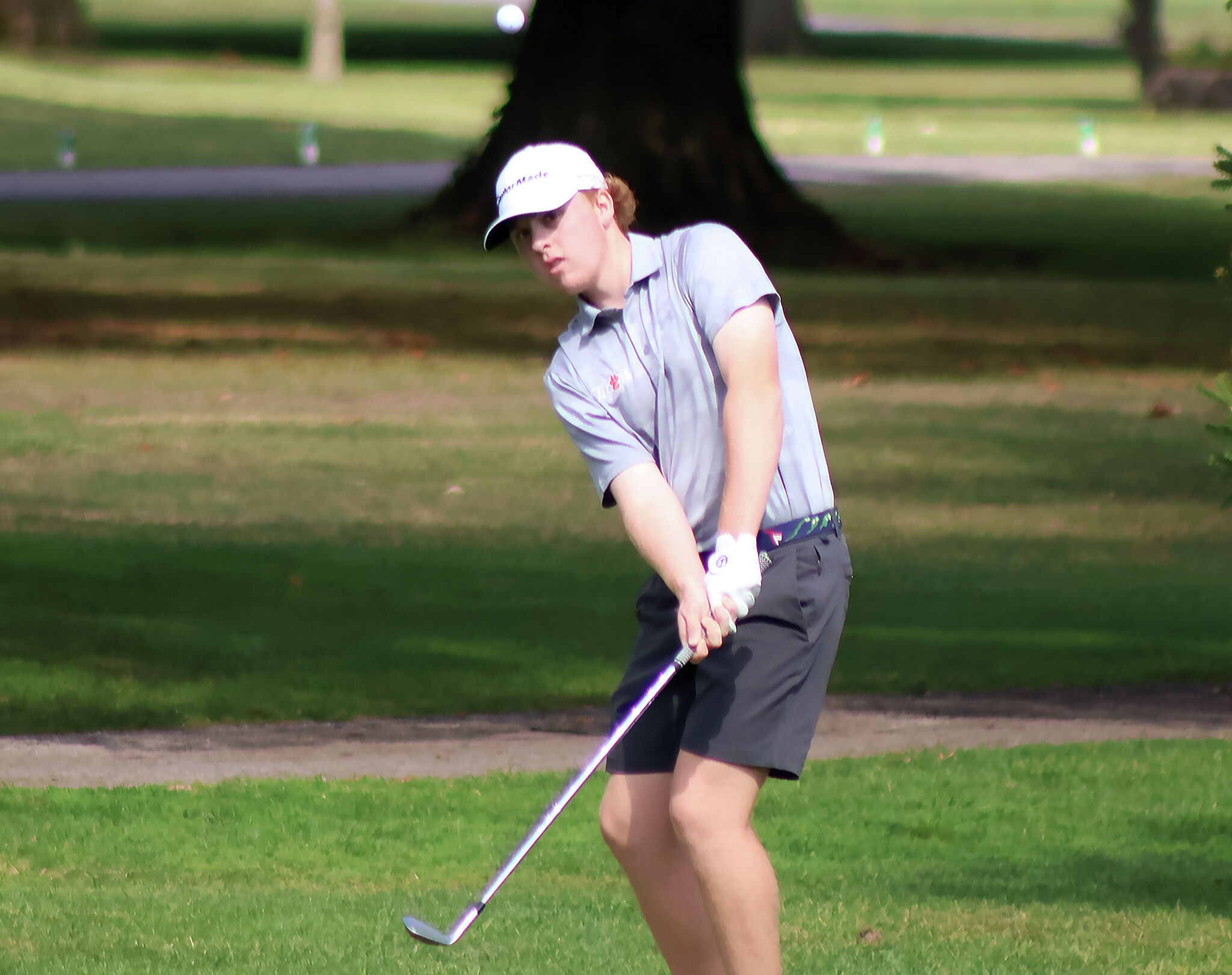 Mason Lewis, Tigers win regional titles