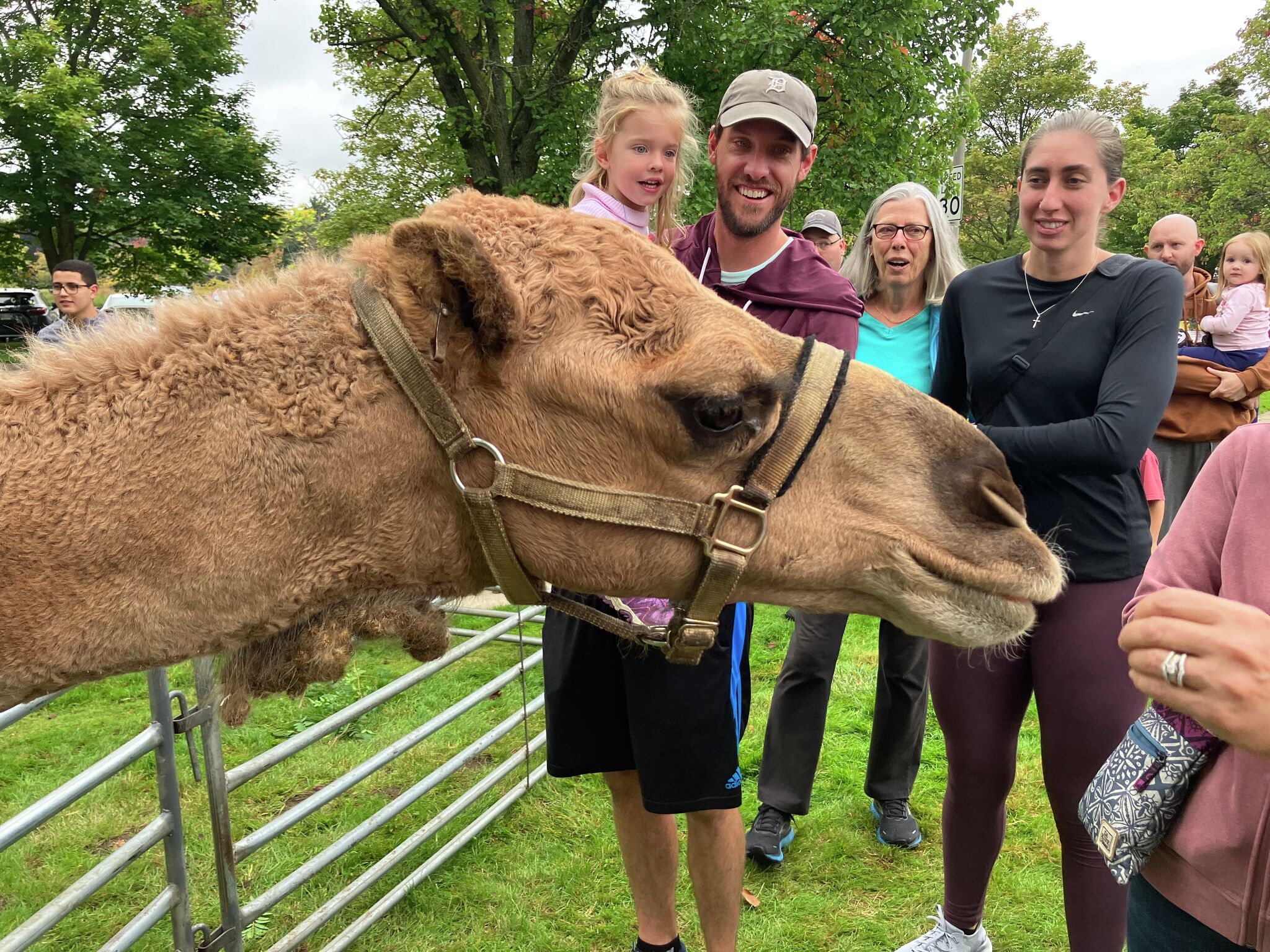 Several hundred people enjoyed Floats With Goats Wednesday evening