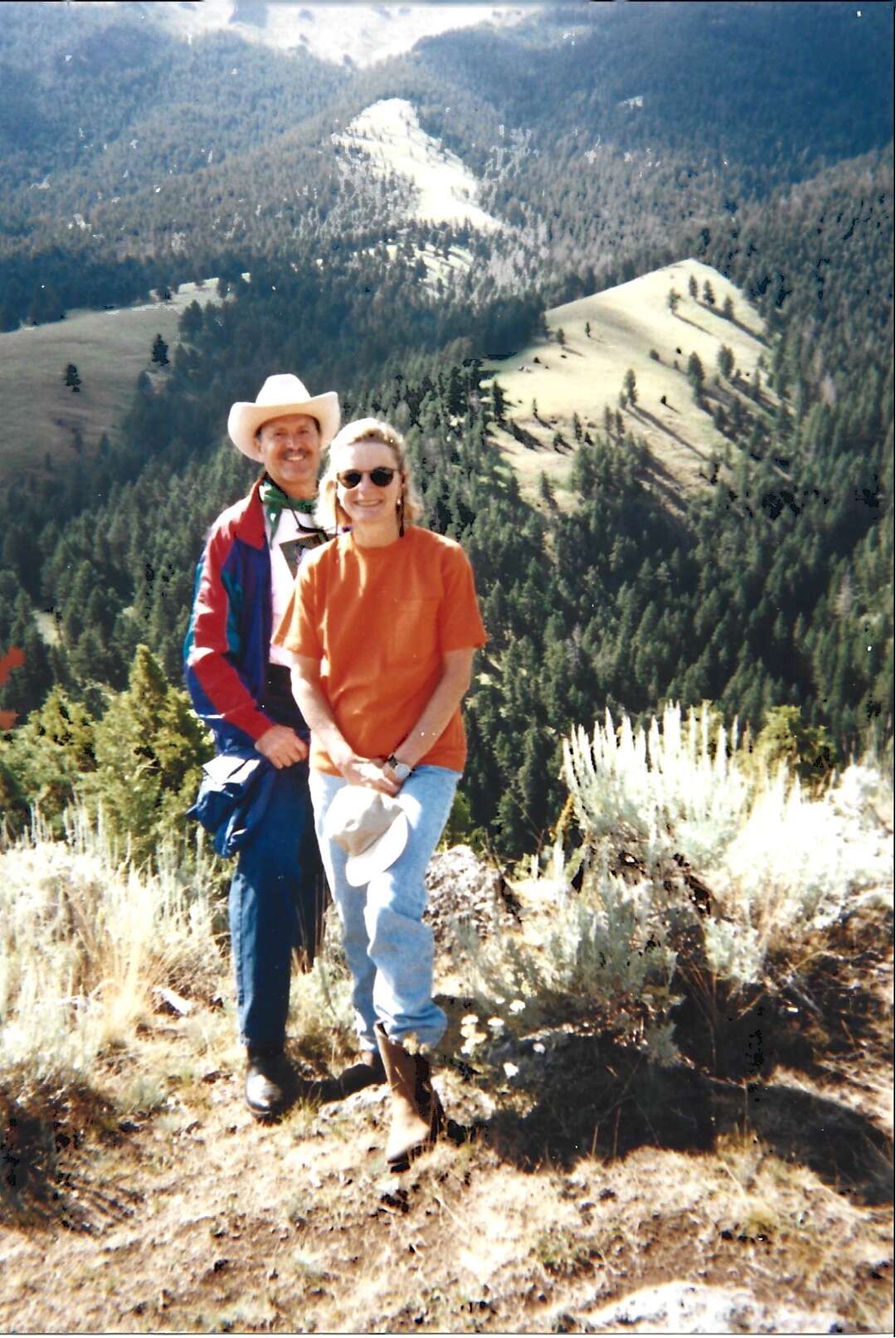 Houston mayoral candidate Lee Kaplan's vision for the city, background