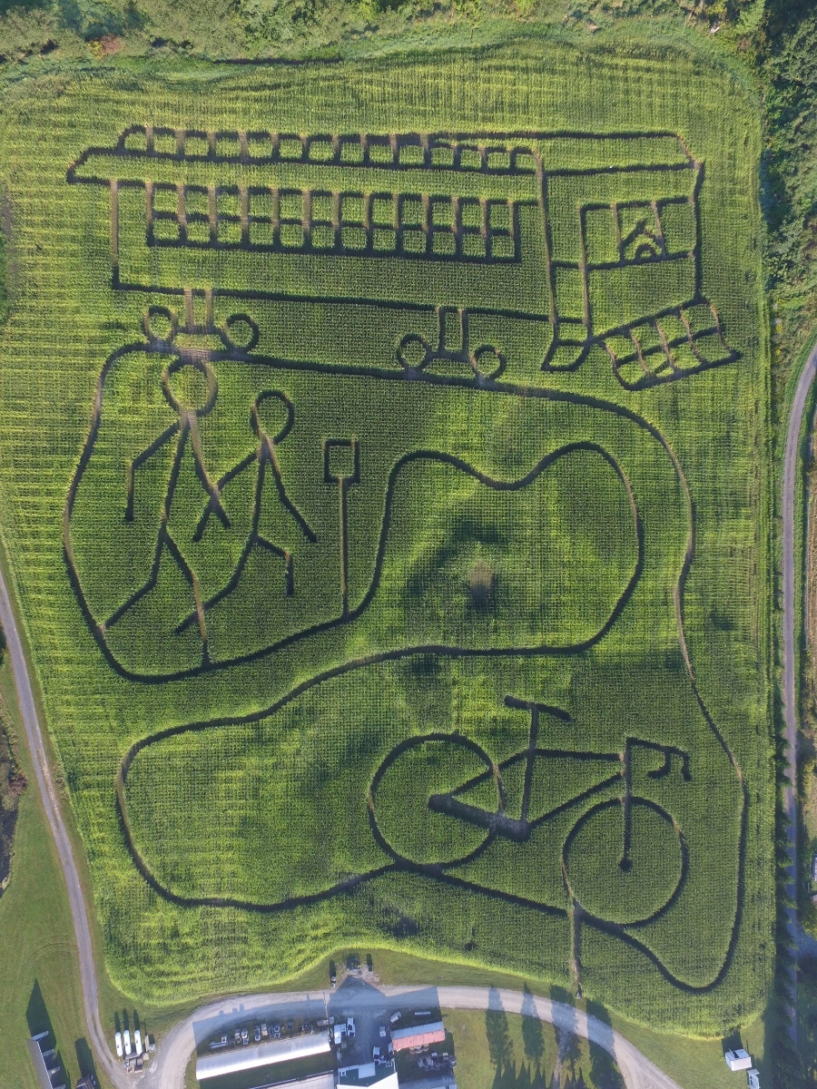 Visiting the Samascott Garden Market corn maze