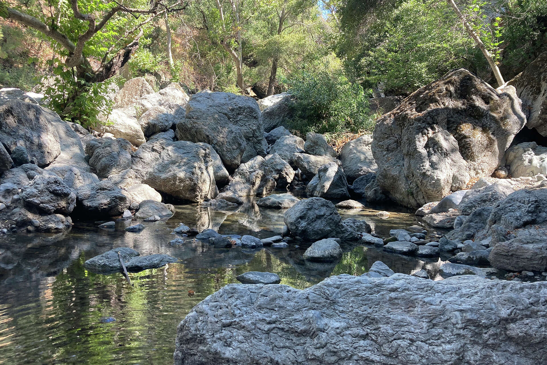 Hike to the Bay Area's Little Yosemite for waterfalls, wild boar